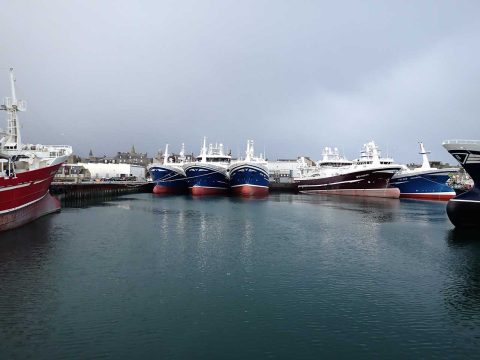 Good end-of-year mackerel fishery for Scottish fleet